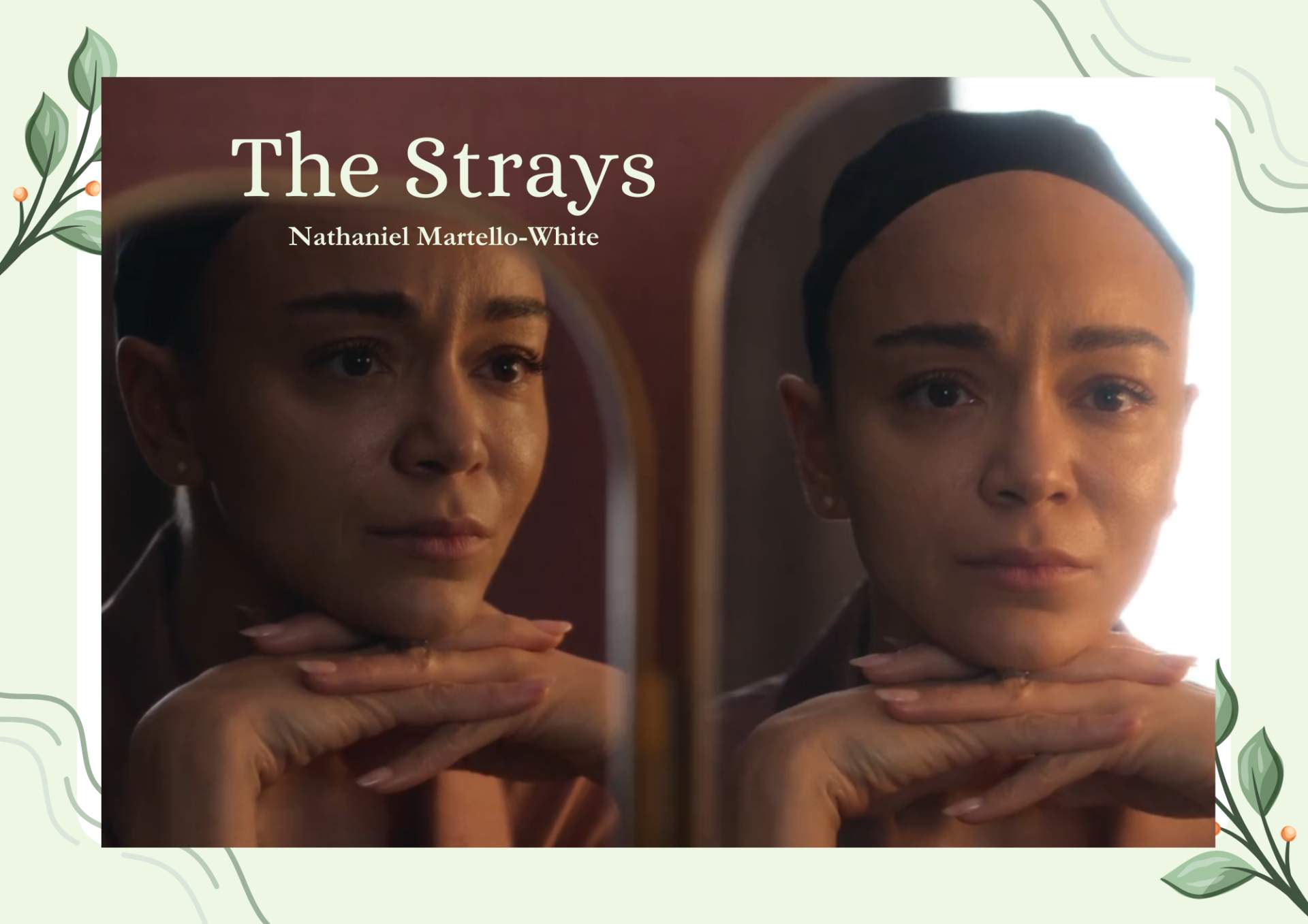 The Strays(2023) Best Plot Analysis | Movie Explanation